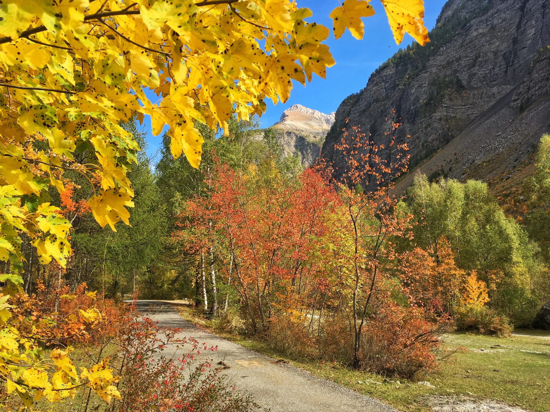 Automne dans les Hautes Alpes - La Maison du Guil - Le Blog